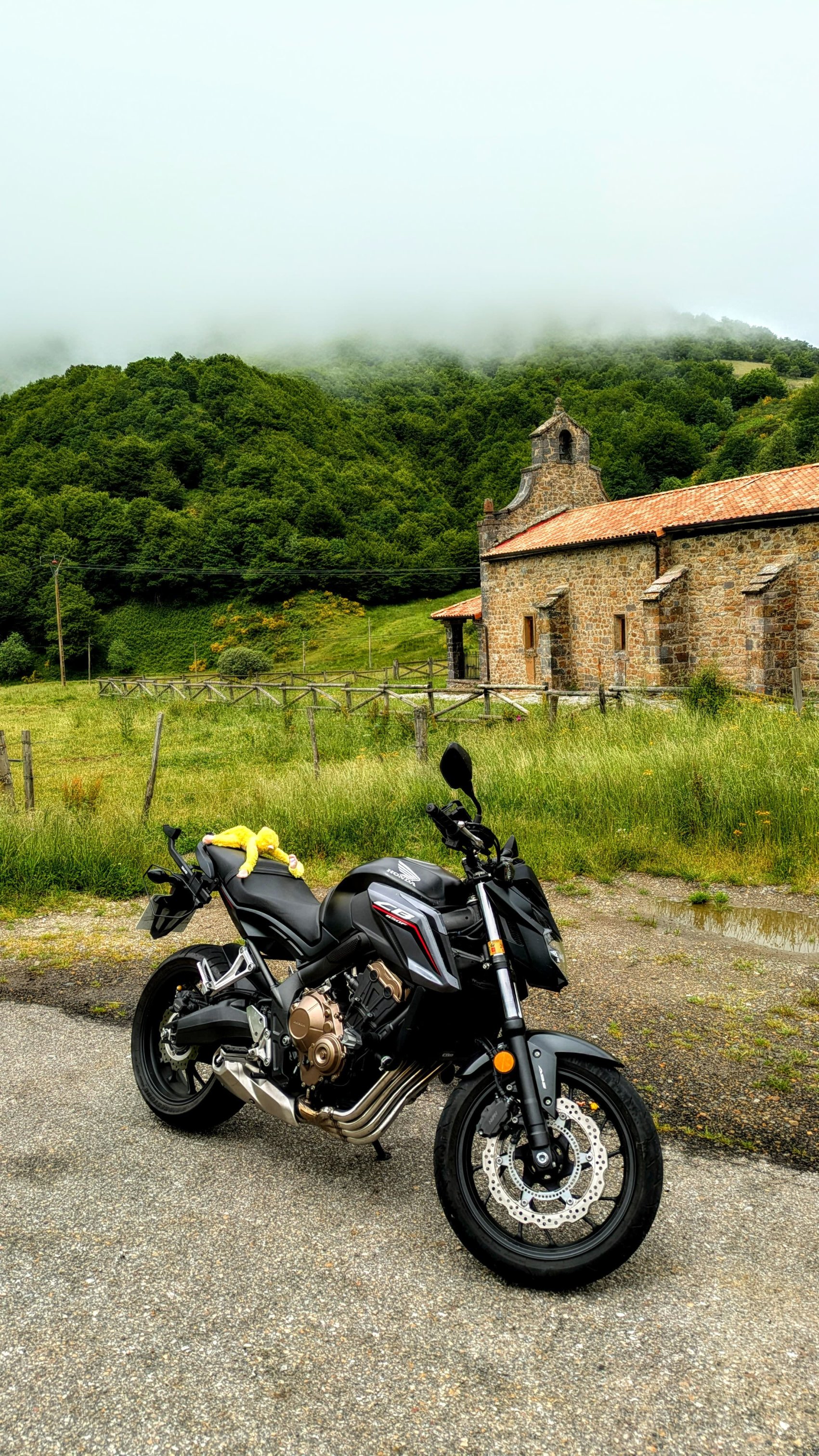 My new CB650F 2018 | Honda CB650F/CBR650F & CB650R/CBR650R Owners Club